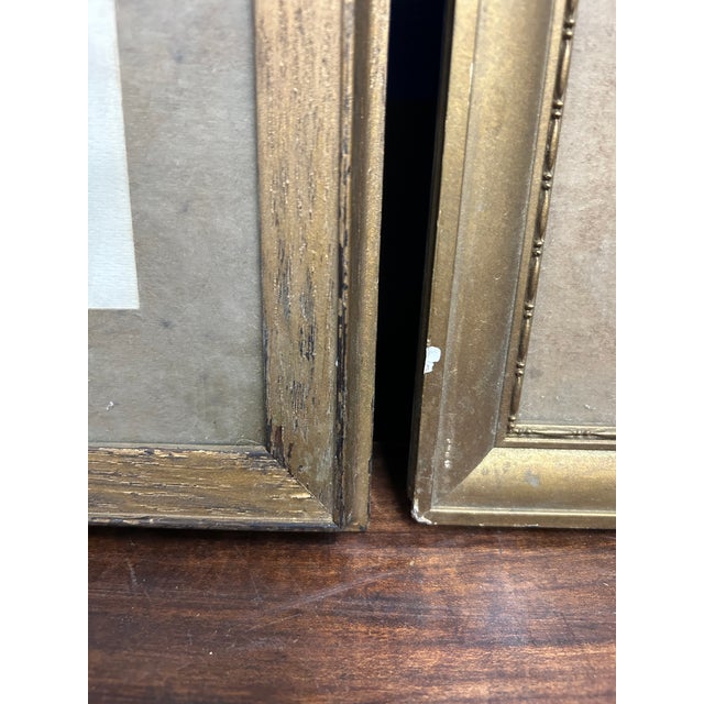 1950s Vintage Arthur Singer Autobahn Bird Prints, a Pair Framed | Chairish