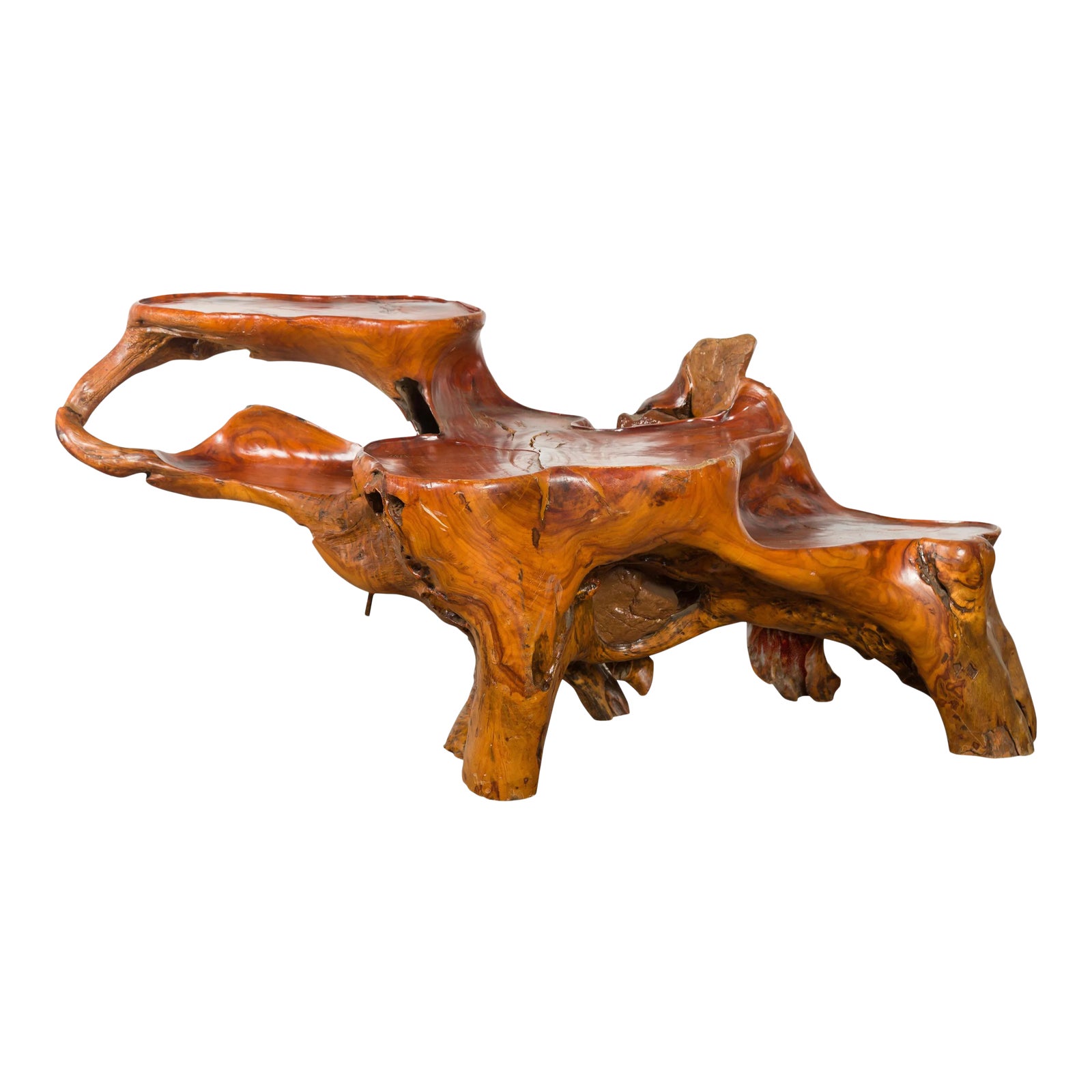 Indonesian 20th Century Lacquered Root Stand Drilled to Work as a ...