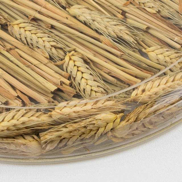 Christian Dior Home Collection Tray Board Platter Lucite and Wheat ...