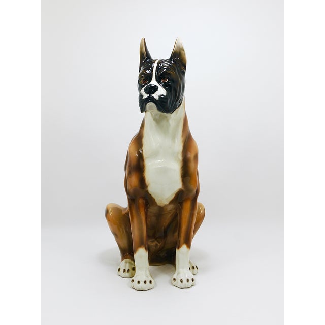 Boxer Dog Life-Size Majolica Statue Sculpture in Glazed Ceramic, Italy ...