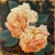"Flemish Rose Duet" Contemporary Painting | Chairish