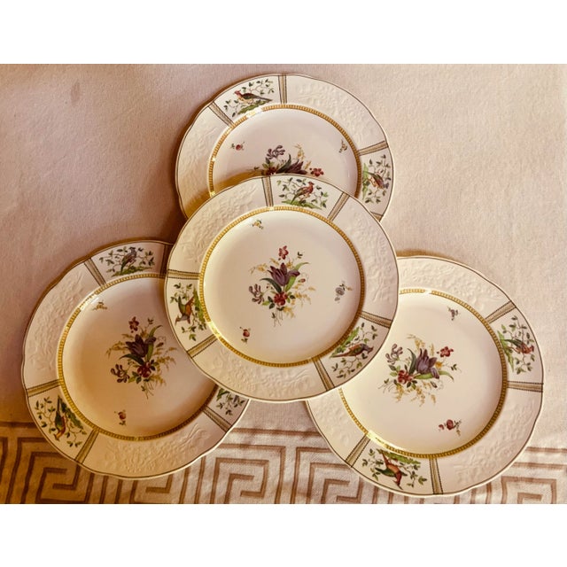 Antique Spode Fine English Bone China Dinner Plates- Set of 4 | Chairish