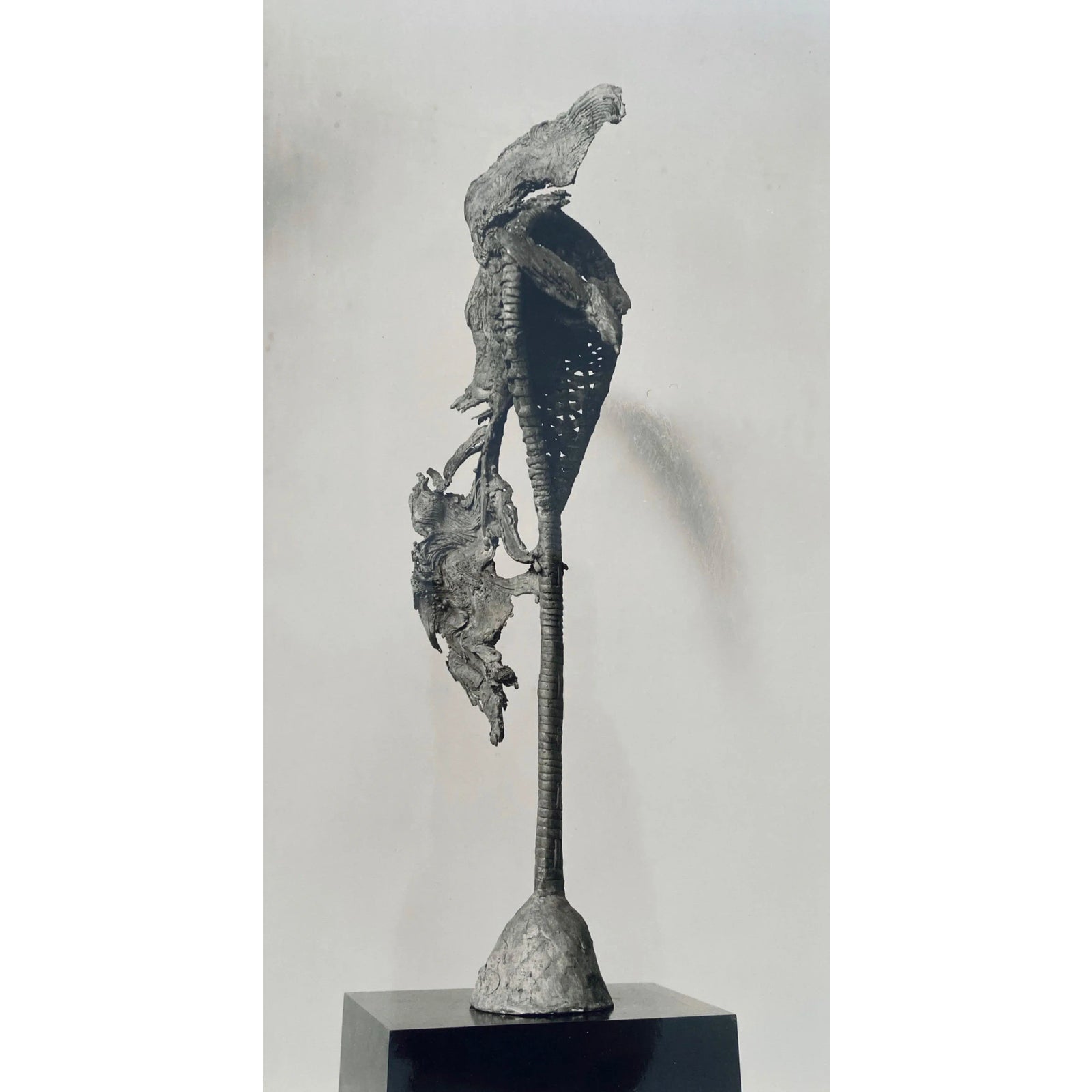 Adolph Studly Vintage Silver Gelatin Still Life Photograph of a Jacques ...