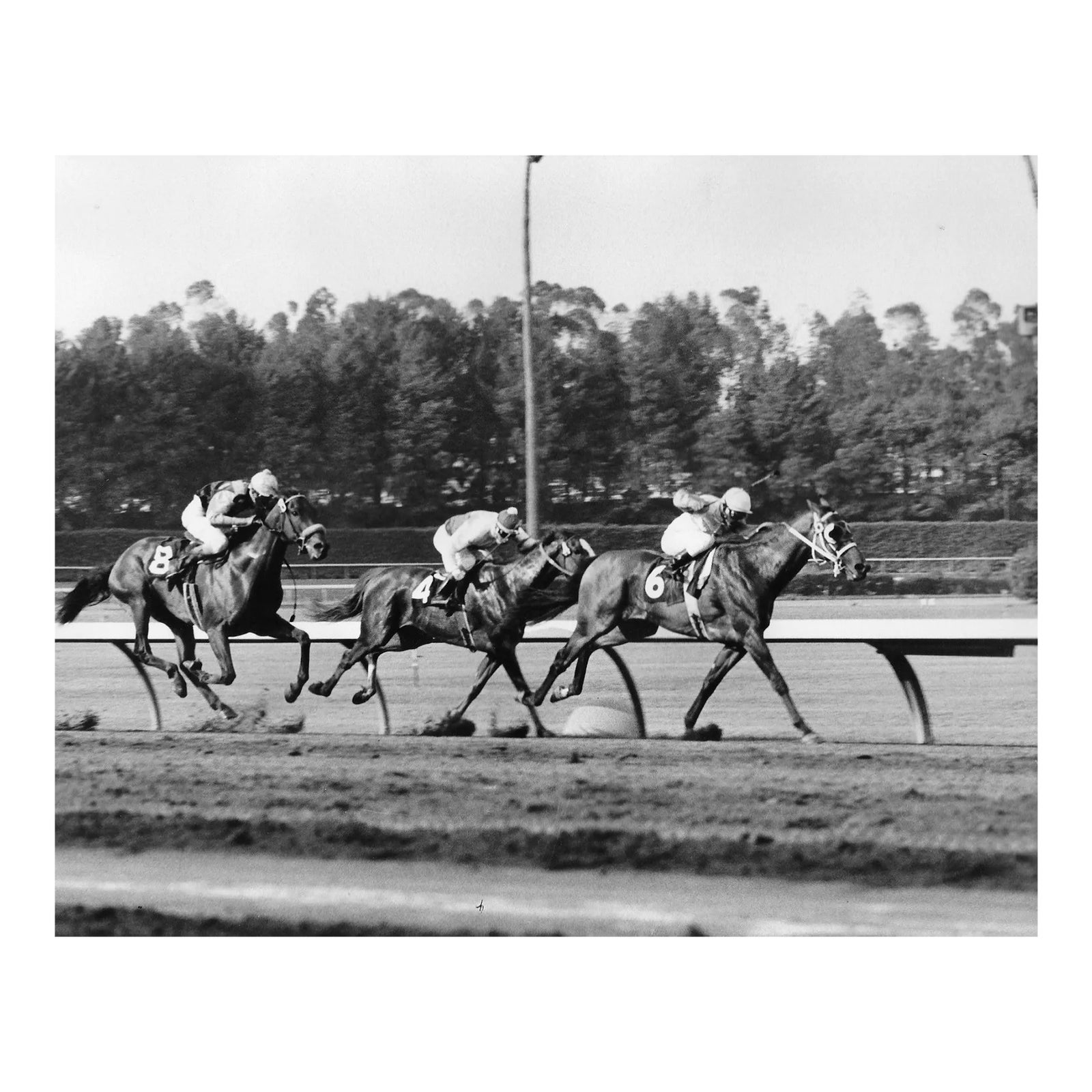 1964 Hollywood Park Horse Racing Photograph by Don Ware | Chairish