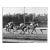 1964 Hollywood Park Horse Racing Photograph by Don Ware | Chairish