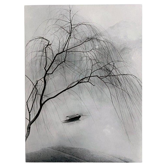 Mid 20th Century Framed Photograph Spring Fantasia by Chin San Long ...