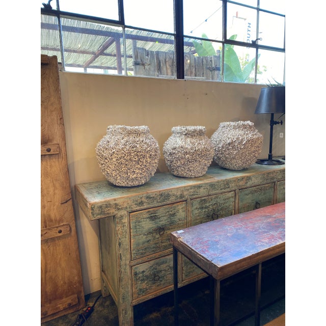 White Barnacle Shell Pot | Chairish