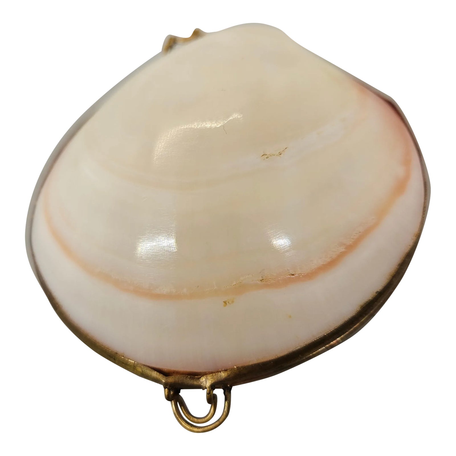 Vintage Pearlized Clam Shell Trinket Box | Chairish