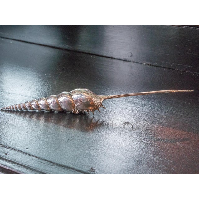 Creel and Gow Silvered Sea Shell Tibia Fusus | Chairish