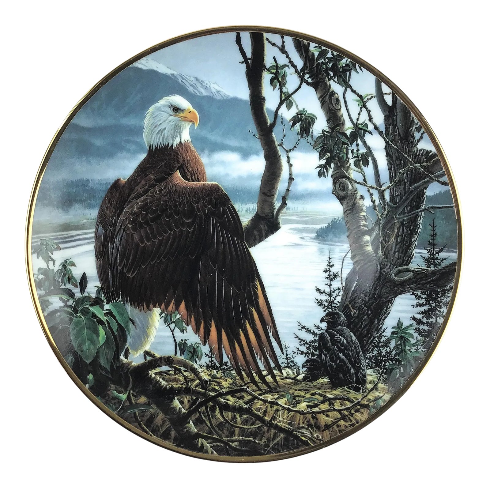 1990s Collectible Porcelain Printed Bald Eagle Series Plate | Chairish