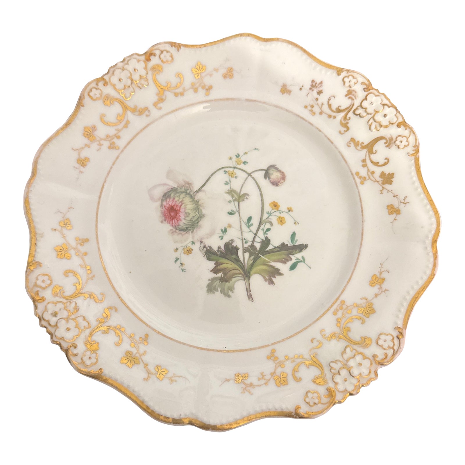 Early 19th Century English Botanical Porcelain Plate | Chairish