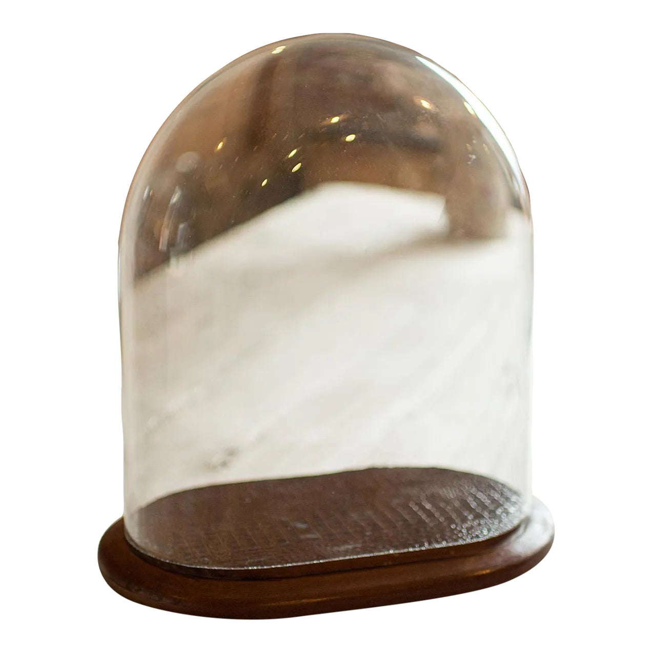 1890's Antique Specimen Display Dome | Chairish