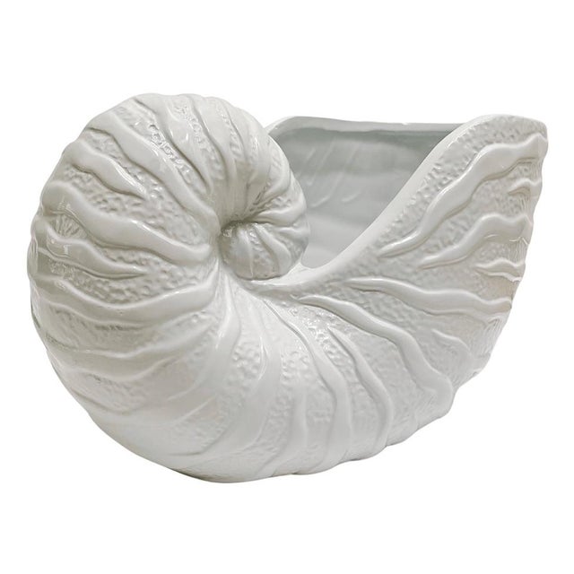 Contemporary White Ceramic Nautilus Shell Planter | Chairish