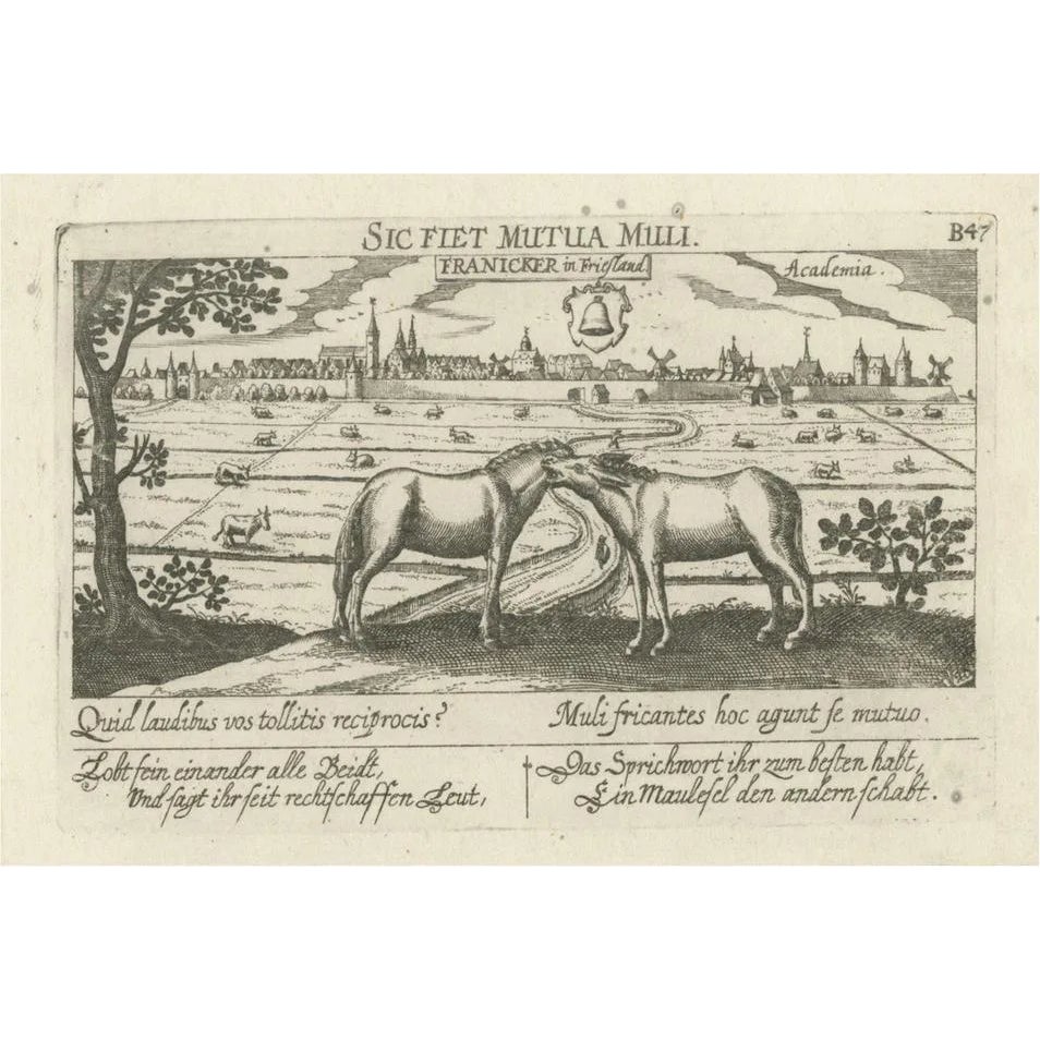 University City of Franeker, 1678, Paper | Chairish