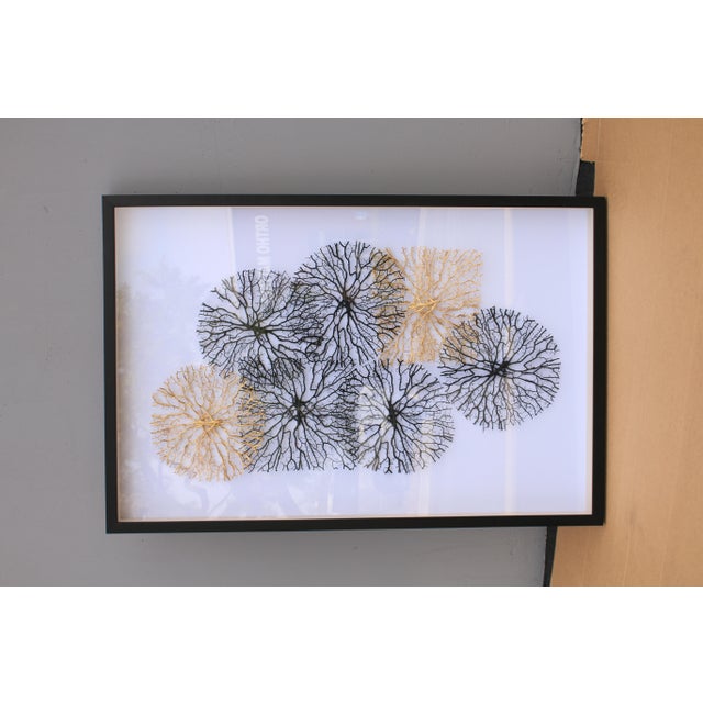 Shadow Box Wall Decor Art Black White Indoor Outdoor | Chairish