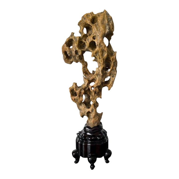 Chinese Scholar Rock Yellow Taihu Stone on Wood Stand | Chairish