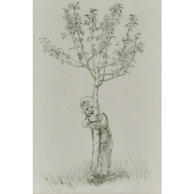 Helen Rayburn Caswell Apple Bloom, 1982 | Chairish