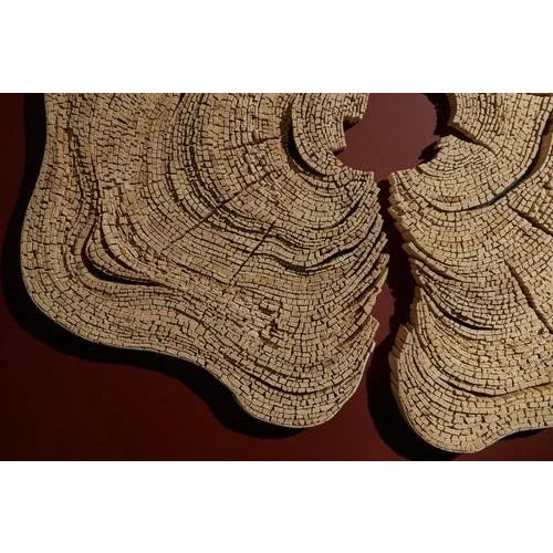 Tales Under the Oak Wall Decoration by TOR-Design | Chairish