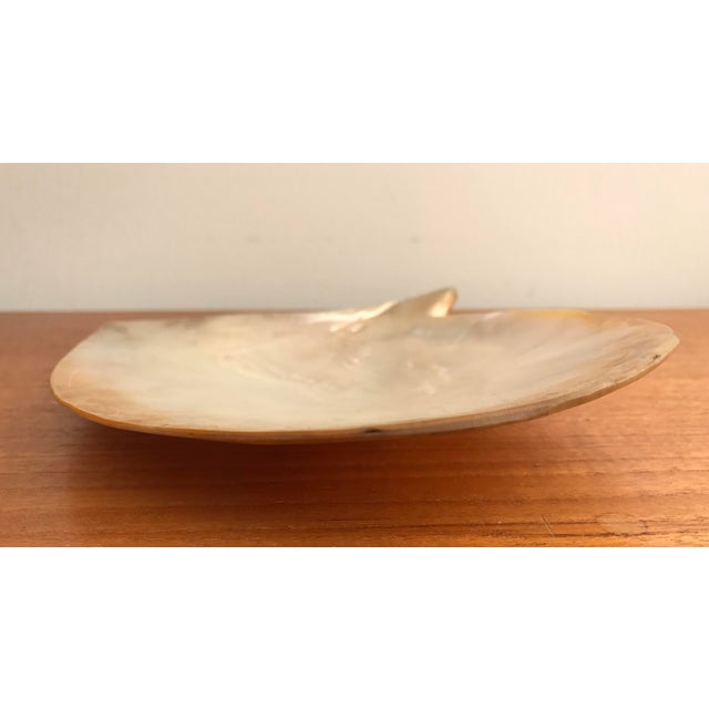 Pearl Shell Trinket Tray | Chairish