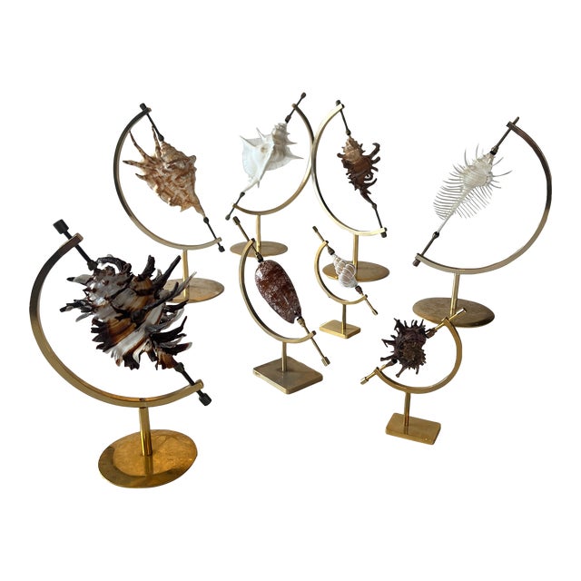 Set of 8 Vintage Ornate Seashells With Display Stands | Chairish