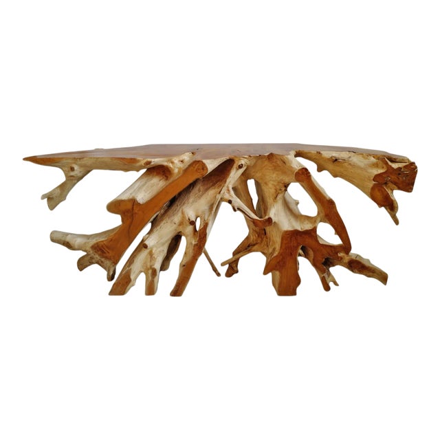 Modern Organic Teak Root Console Table | Chairish