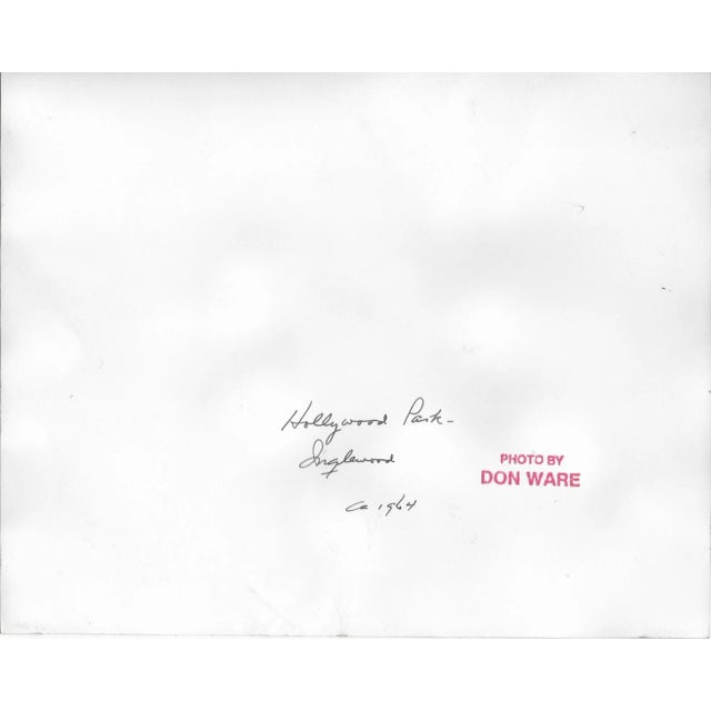 1964 Hollywood Park Horse Racing Photograph by Don Ware | Chairish