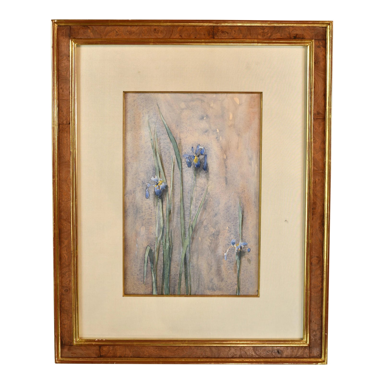 Original Vintage Thomas Daly Iris Flower Watercolor Painting | Chairish