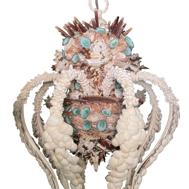 Shell Chandelier With Eight Arms | Chairish