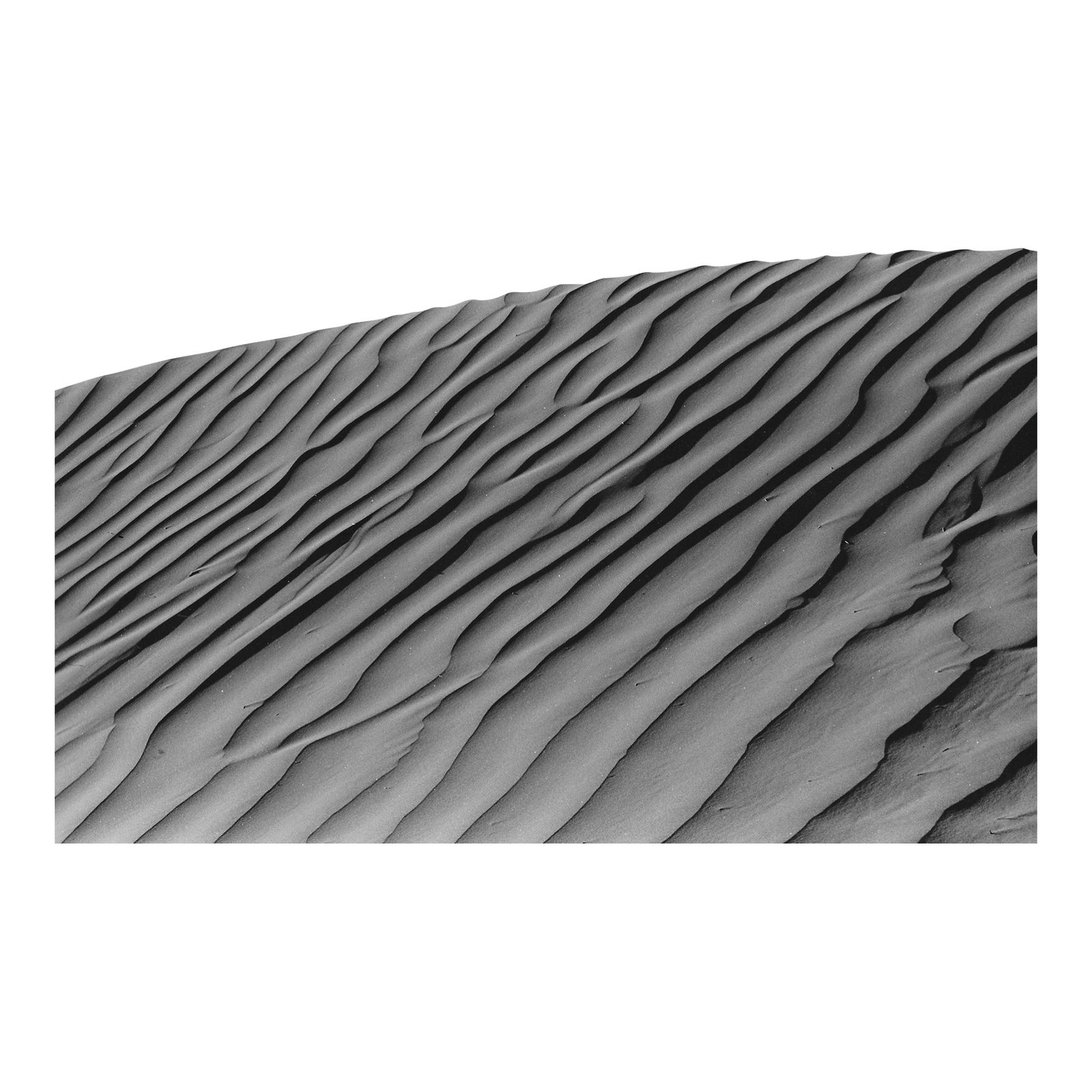 1980 Death Valley California Desert Patterns Photograph | Chairish