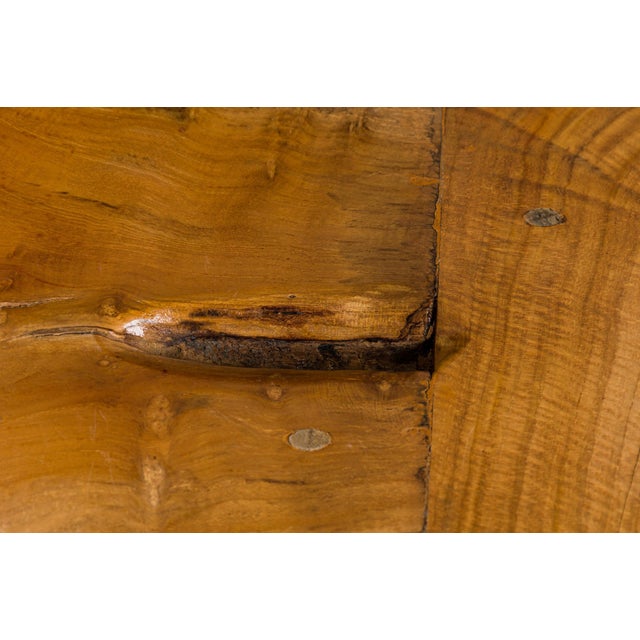 Rustic Tree Root Live Edge Lacquered Console Table | Chairish