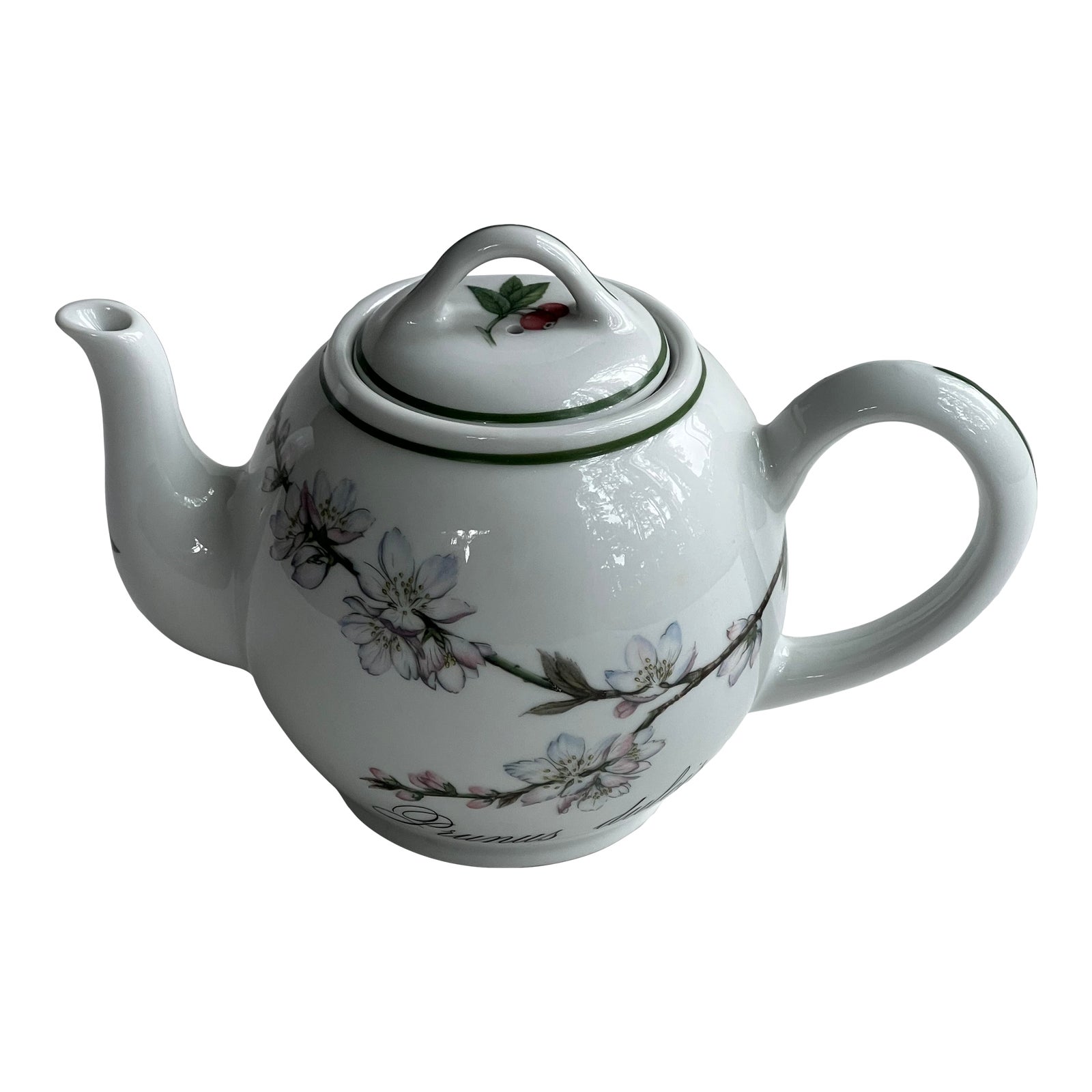 Elysian Gardens by Apilco France Teapot With Lid | Chairish
