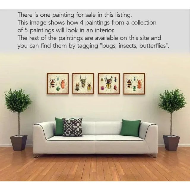 Beetles and Bugs Still Life Original Print Bugs Collection 1 | Chairish