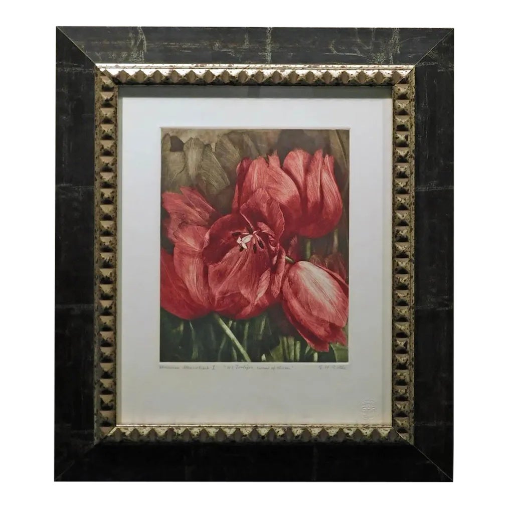 GH Rothe "Some of 48 Tulips" Mezzotint Etching Hand Signed Artwork ...