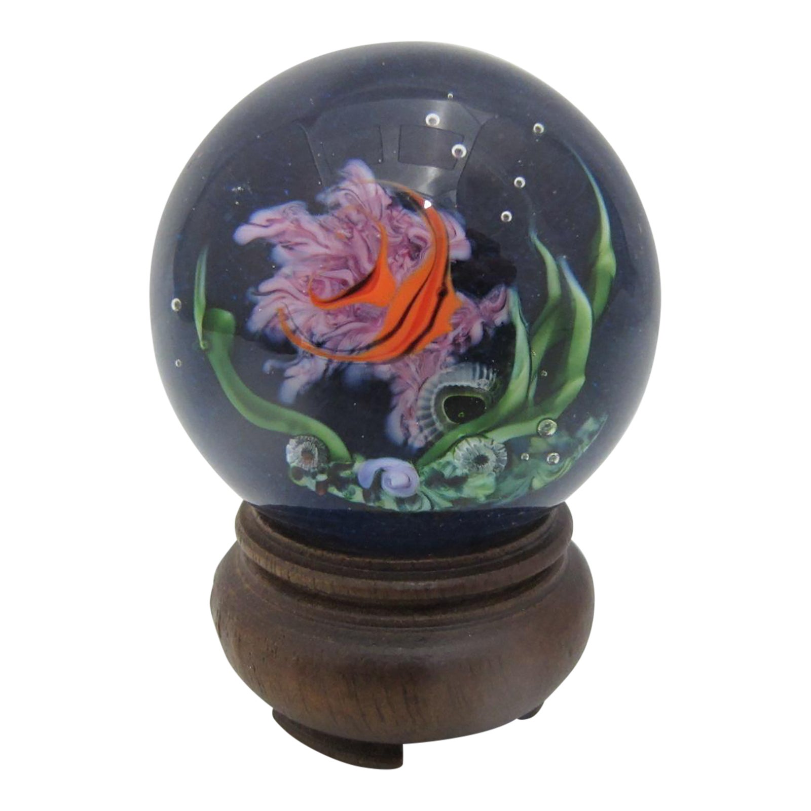 David P Salazar Glass 3d Ocean Angel Fish Marble Paperweight on Stand ...