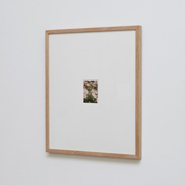 The Rose Garden Nº 33 Print by David Urbano, 2018 | Chairish