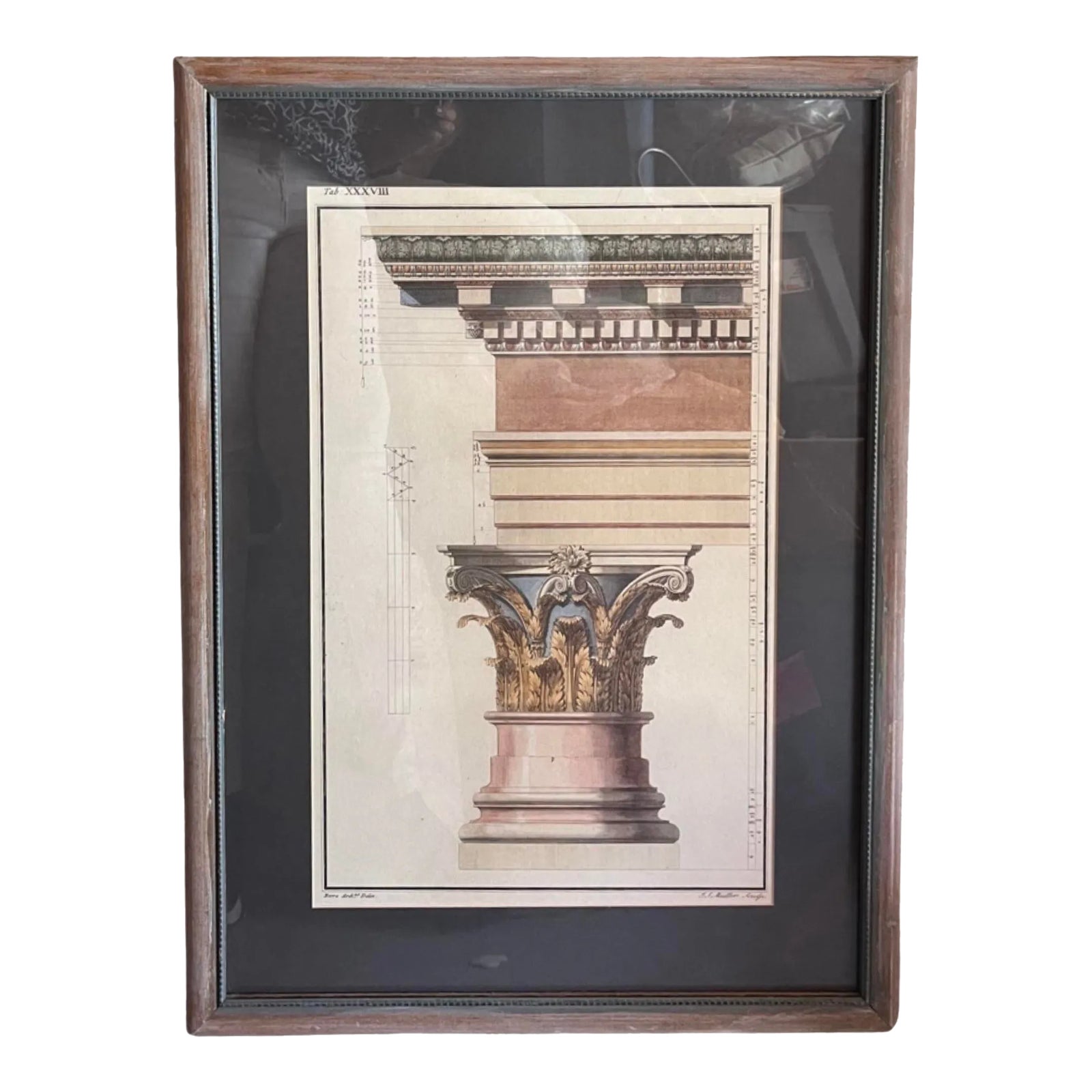 Large Vintage Architectural Neoclassical Coloumn Print in Frame | Chairish