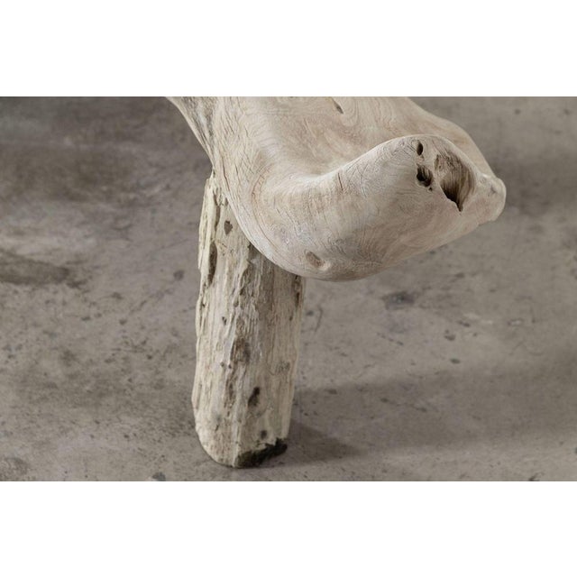 Large English Bleached Teak Root Bench | Chairish