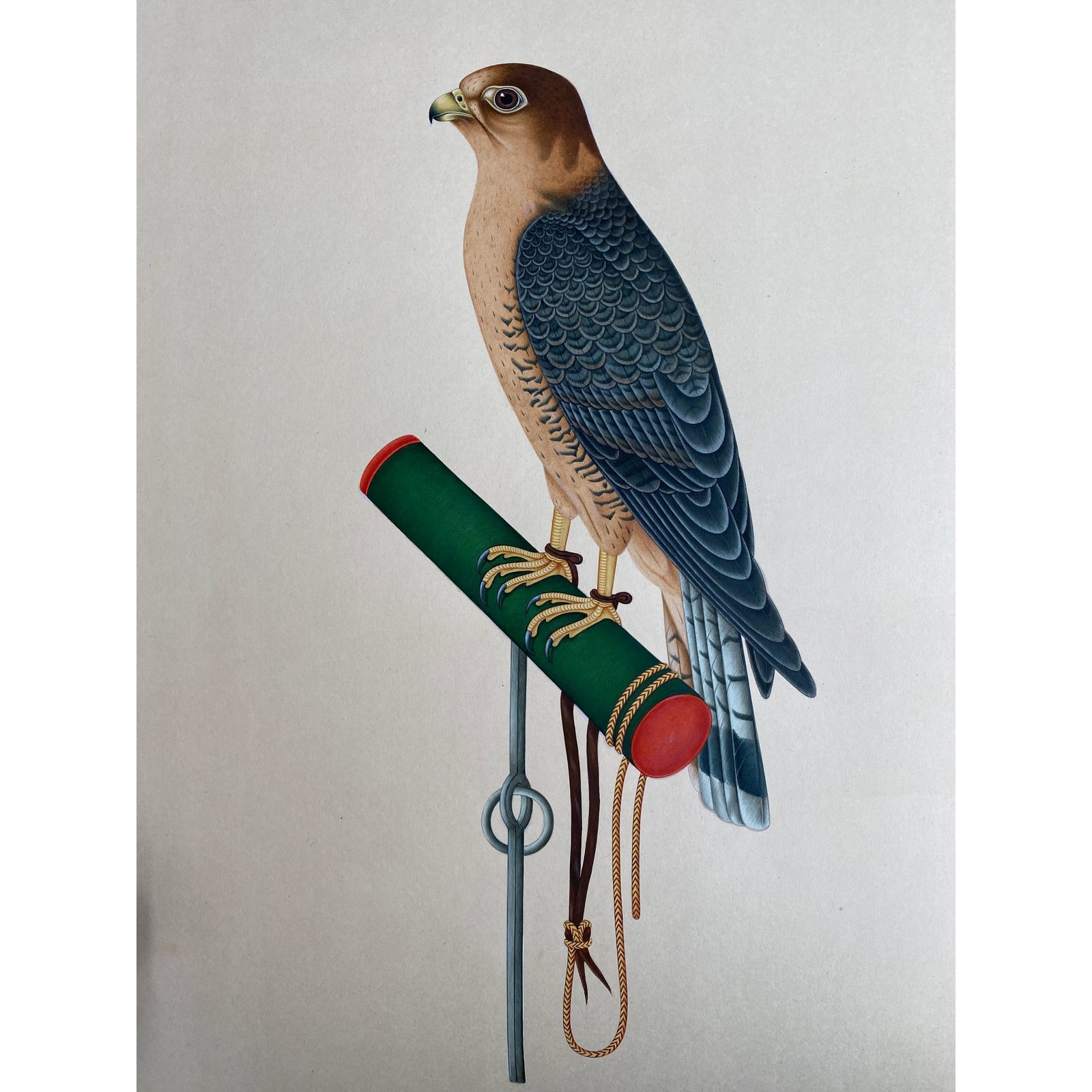 Falcon Fine Miniature Painting on Paper , Eagle Artwork, Indian Hawk ...