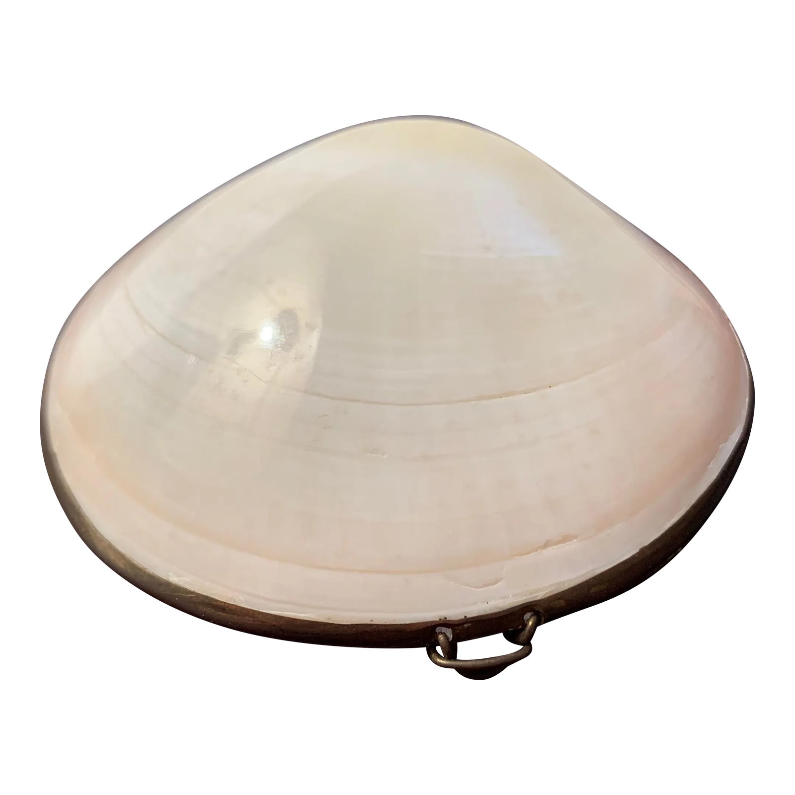 Late 20th Century Vintage Natural Shell Trinket Box | Chairish