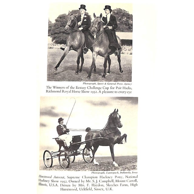 "Clothes and the Horse: A Guide to Correct Dress for All Riding ...