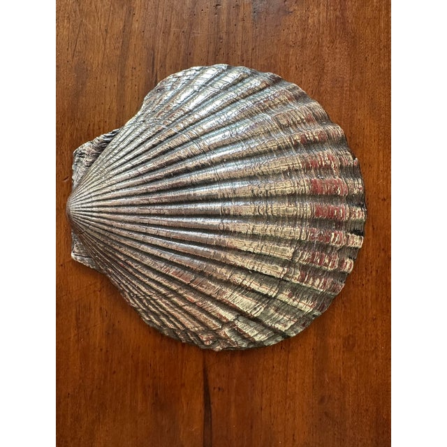 Silver Dipped Cockle Scallop Sea Shell | Chairish