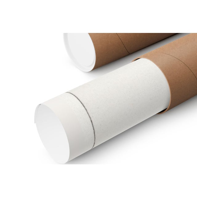 Two Opened Oysters (1824) by Jean Bernard, Natural History Shell Study ...