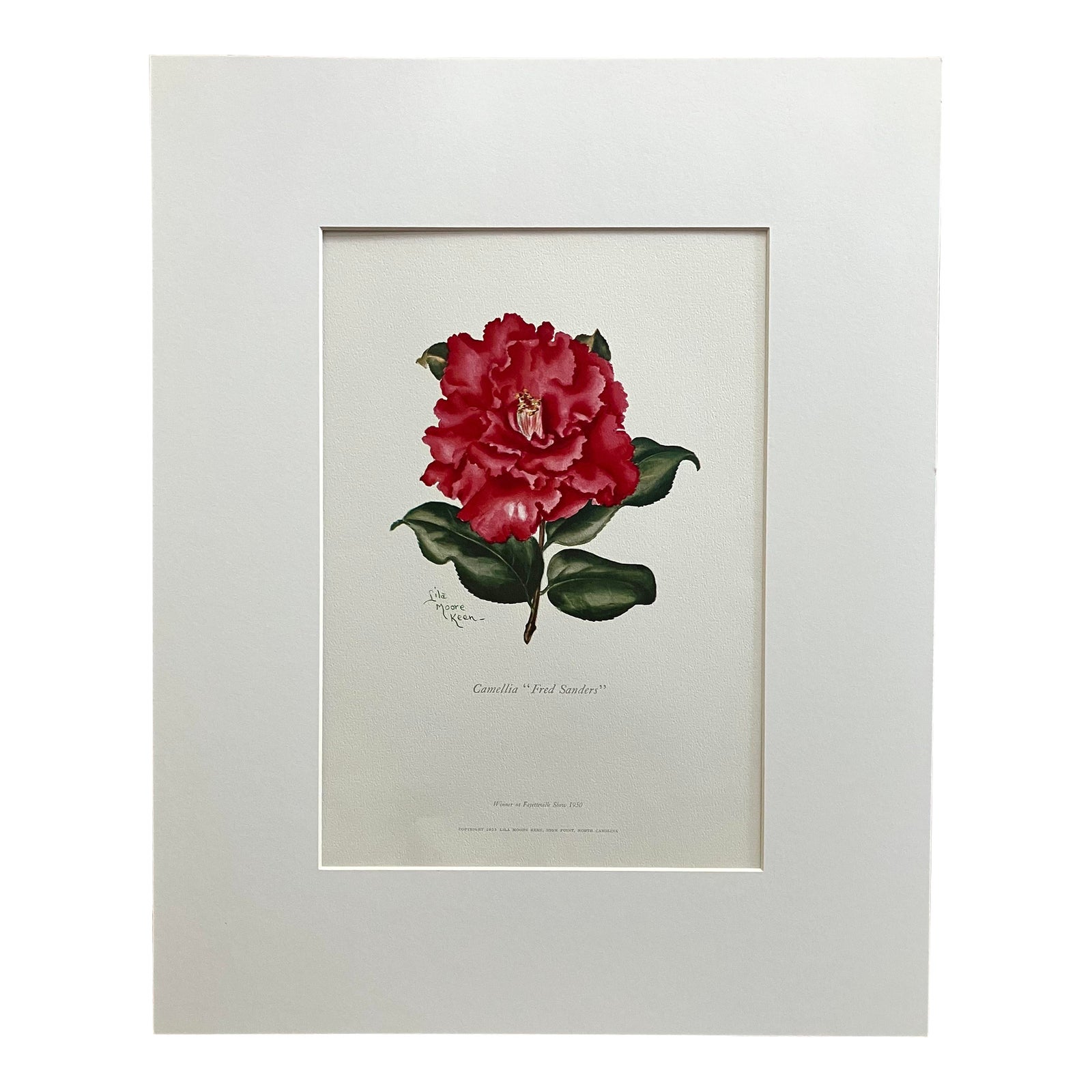 Vintage Lila Moore Keen "Camellia Fred Sanders" Print in 16x20 Mat ...