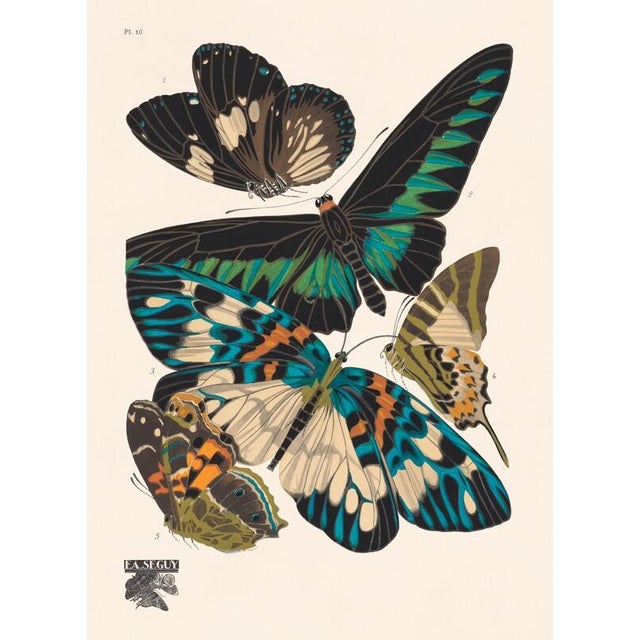 Insects Giclee Reproduction Art Print by Emile-Allain Seguy | Chairish