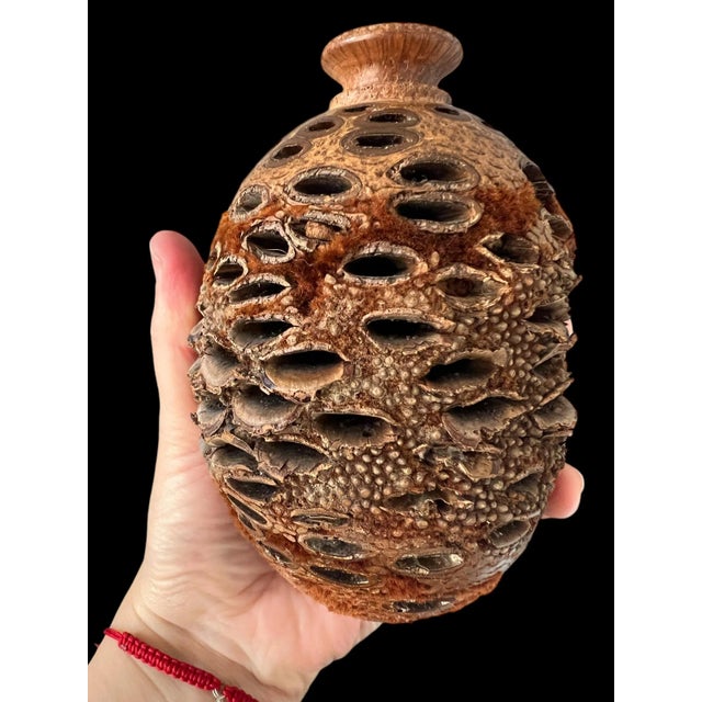 Vintage Organic Banksia Seed Vases- Set of 3 | Chairish