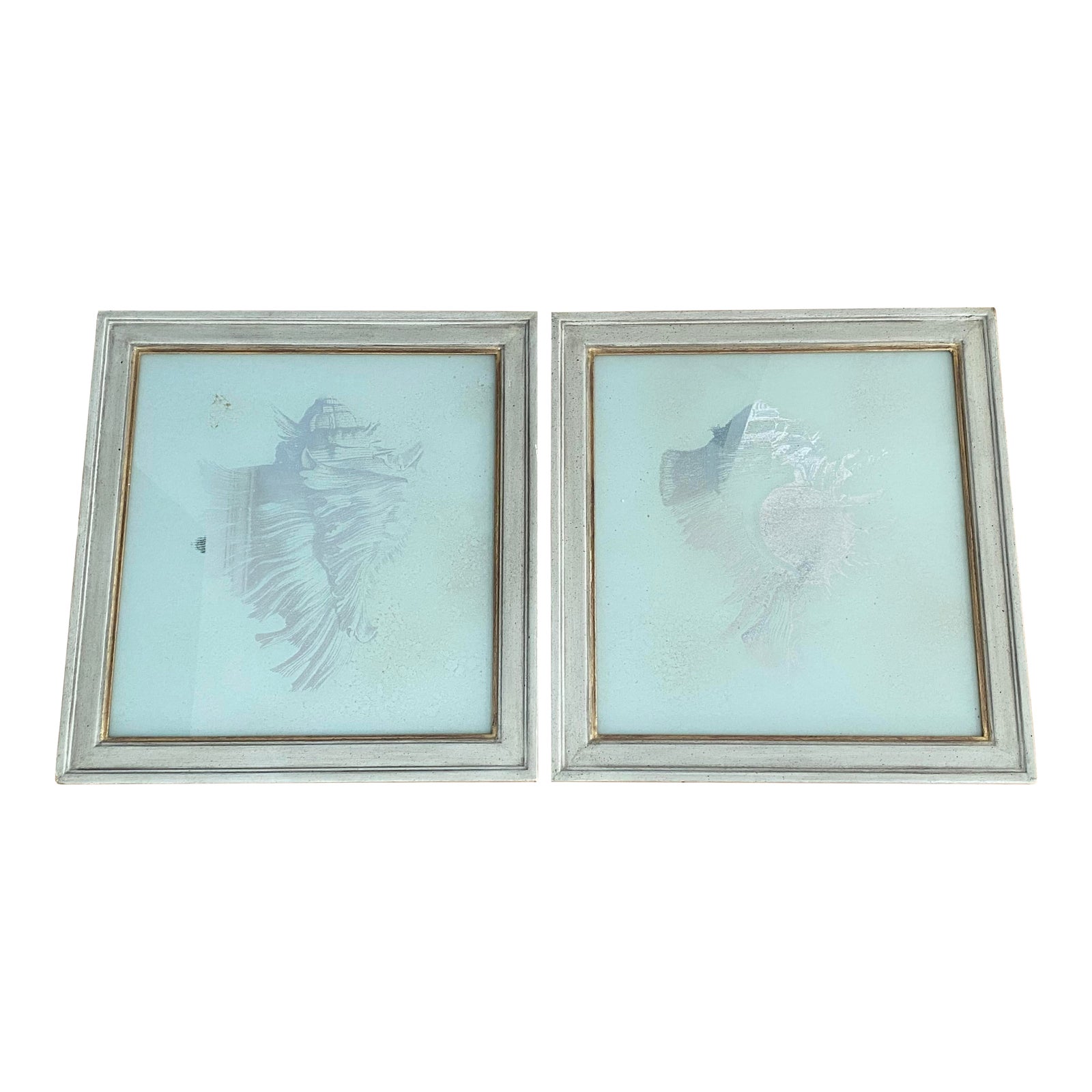 Trowbridge Art Gallery Mirrored Shell Prints - a Pair | Chairish