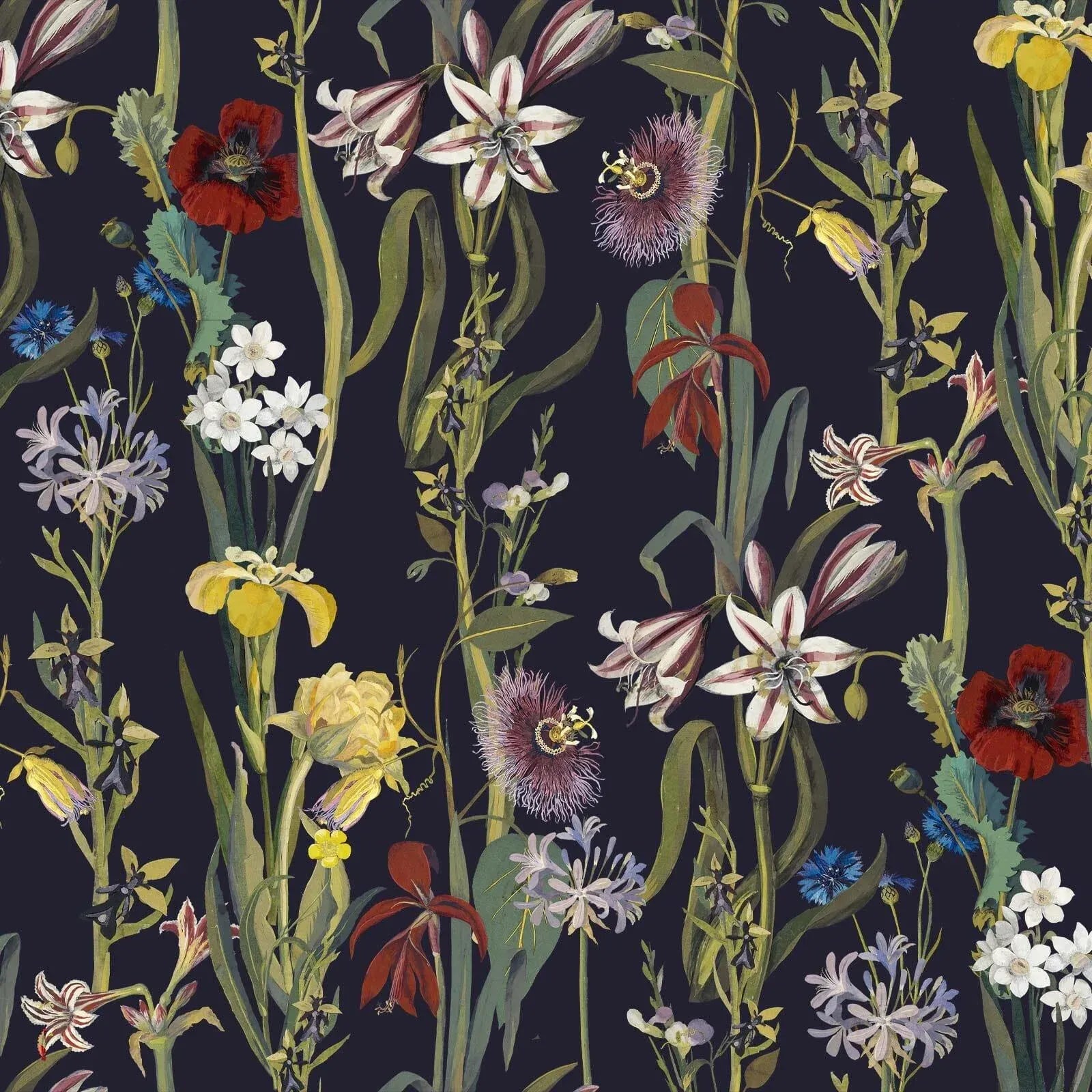 Flora Delanica Wallpaper - Midnight, Sample | Chairish