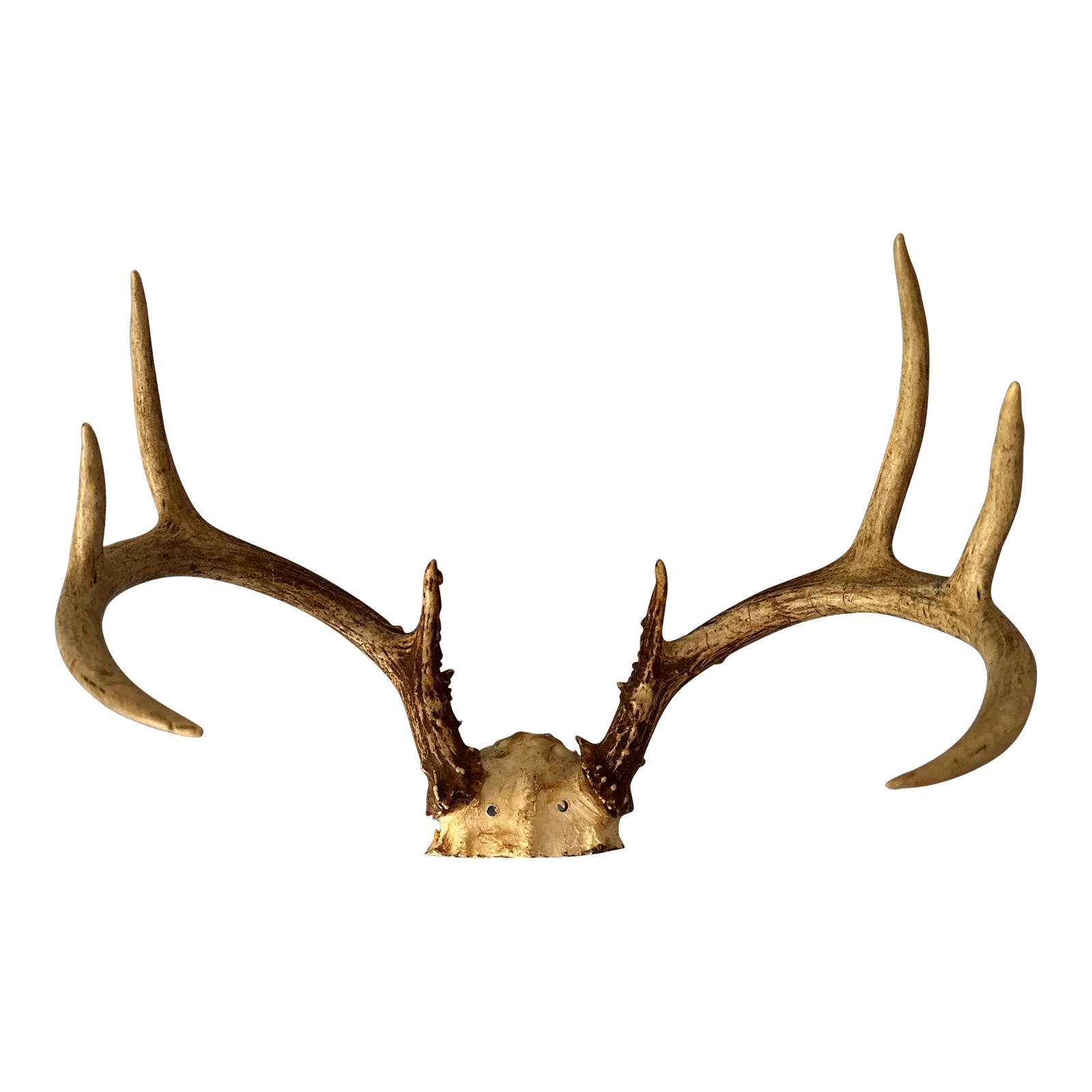 Vintage Eight Point Antlers | Chairish