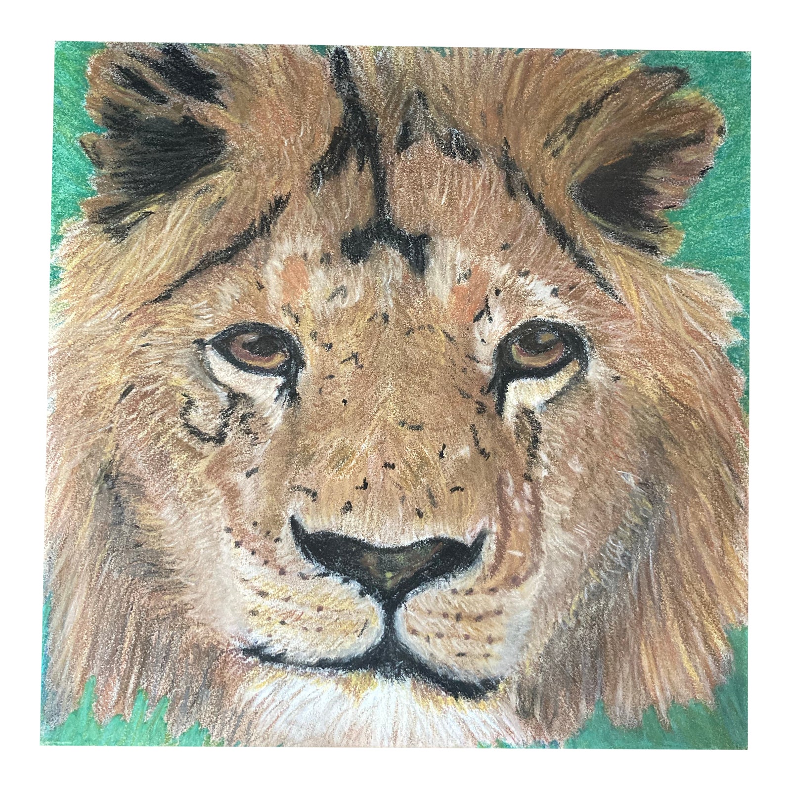 The Lion Folk Art Style Drawing | Chairish