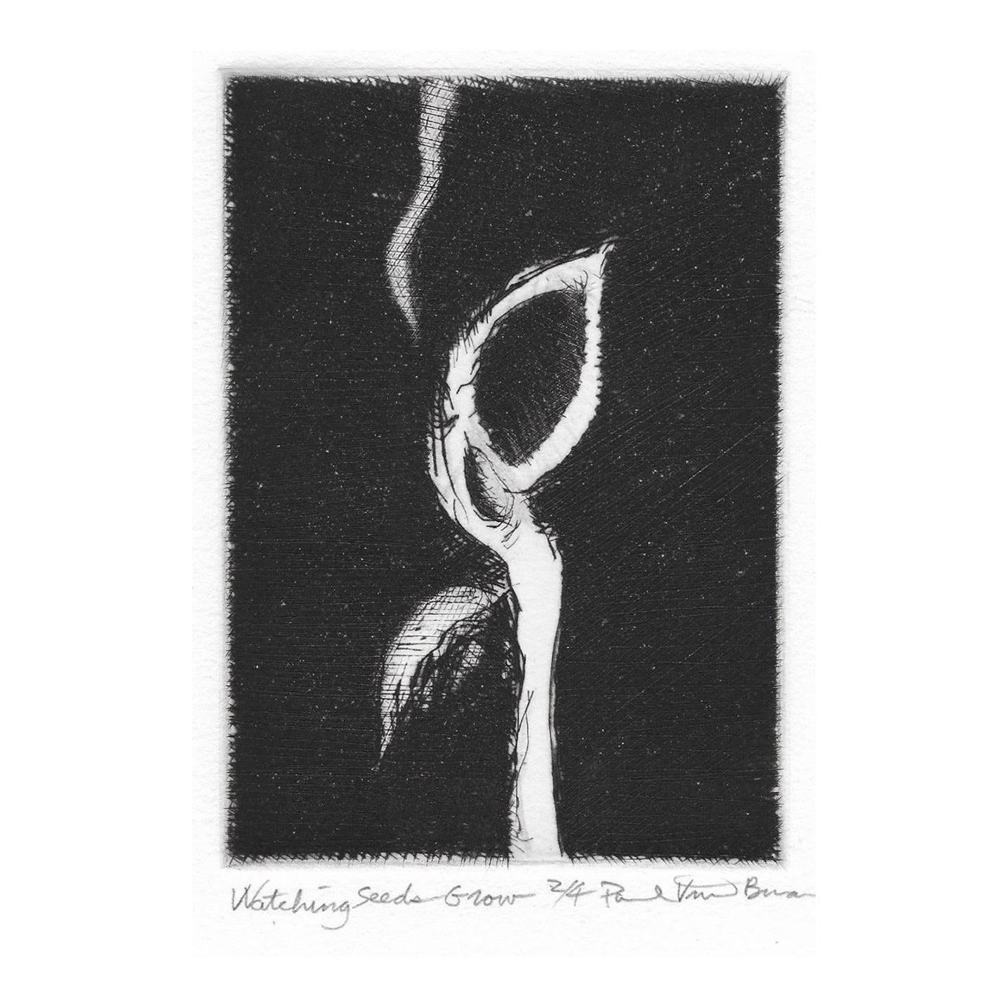 Paul Vincent Bernard Watching the Seeds Grow Drypoint | Chairish